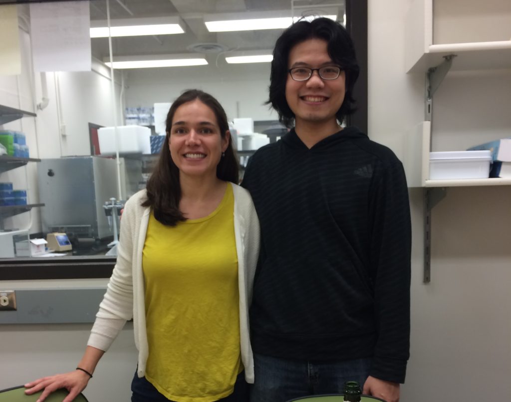 Larracuente Lab | University of Rochester | Page 2
