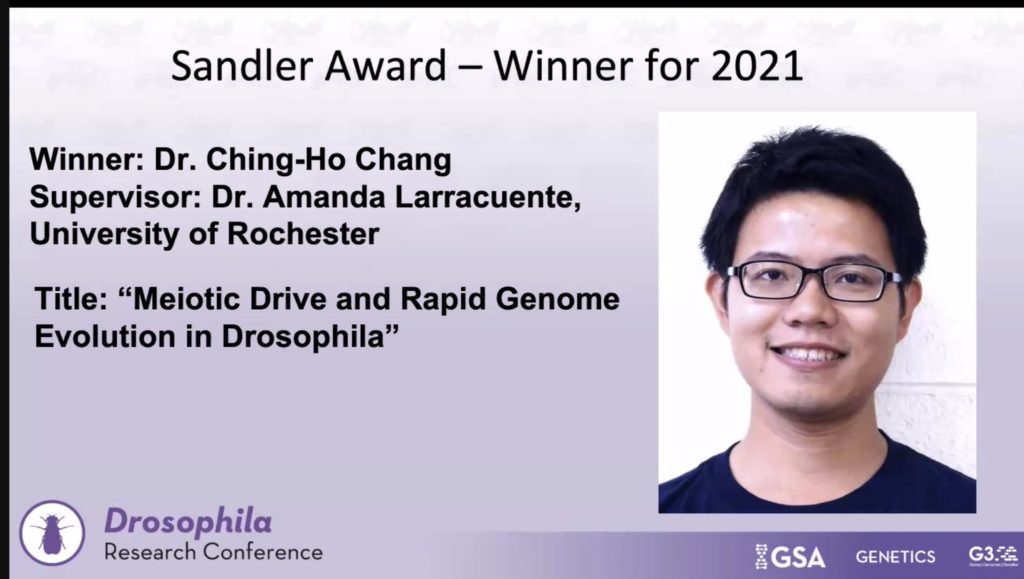 Larracuente Lab | University of Rochester